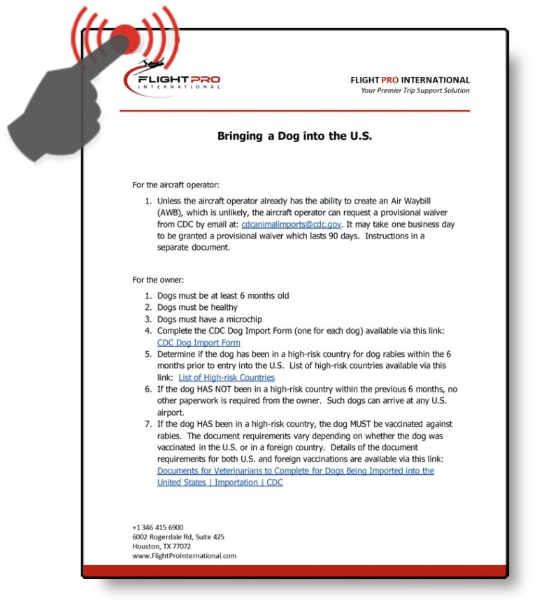 Bringing a Dog Into the US: Requirements, Waiver Information, and ...